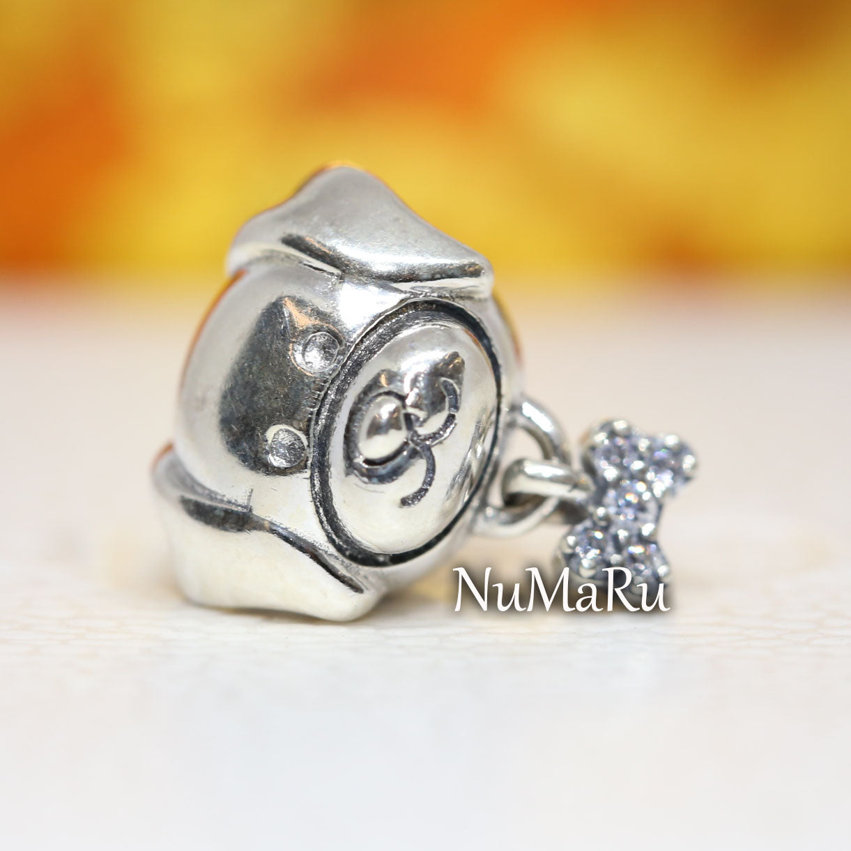 Pet Dog & Bone Charm 792254C01 – NUMARU