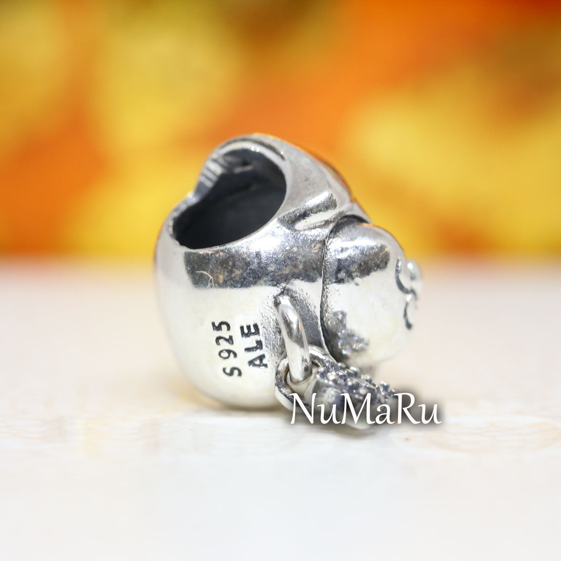 Pet Dog & Bone Charm 792254C01 – NUMARU