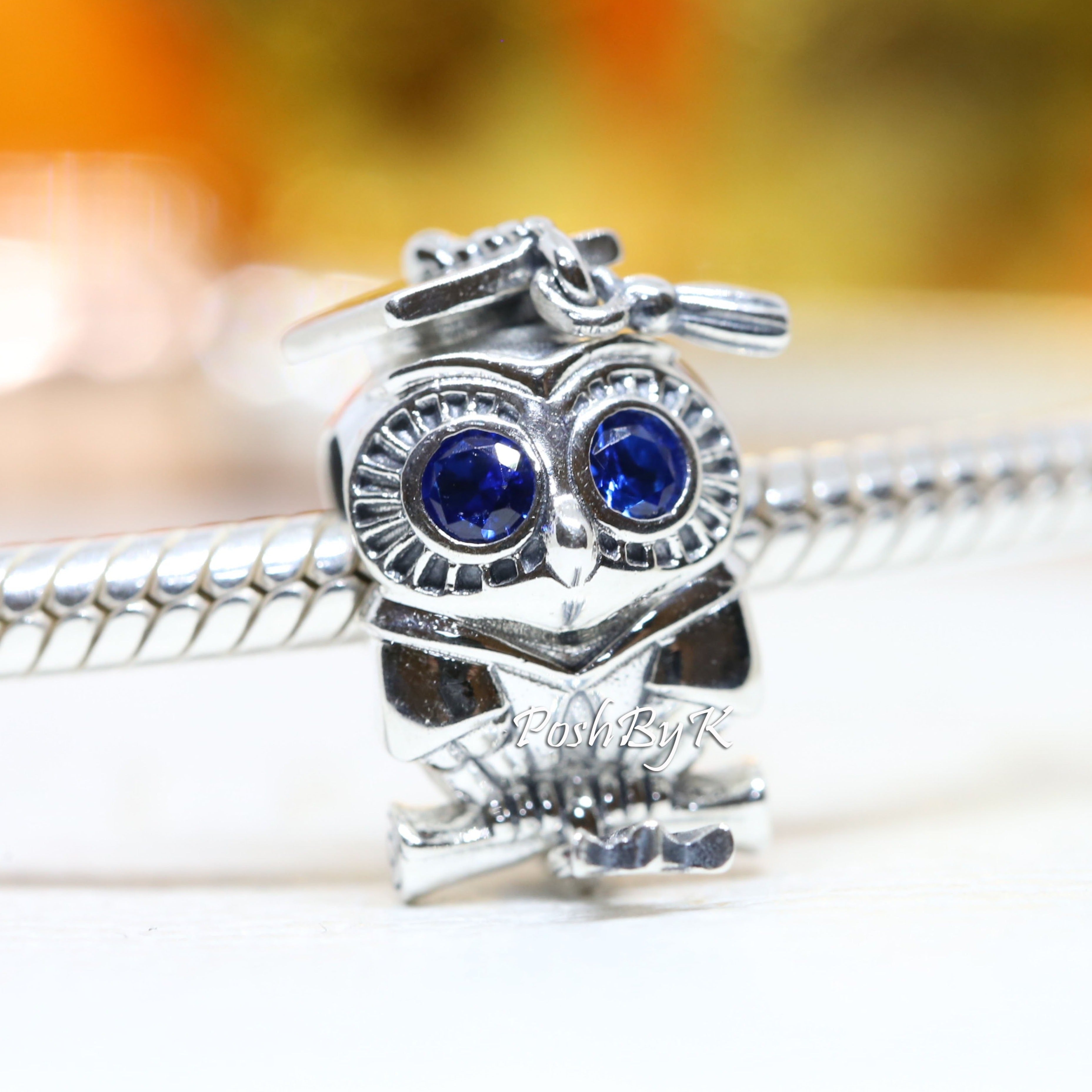 Wise Owl Graduation Charm 798907C01 – NUMARU