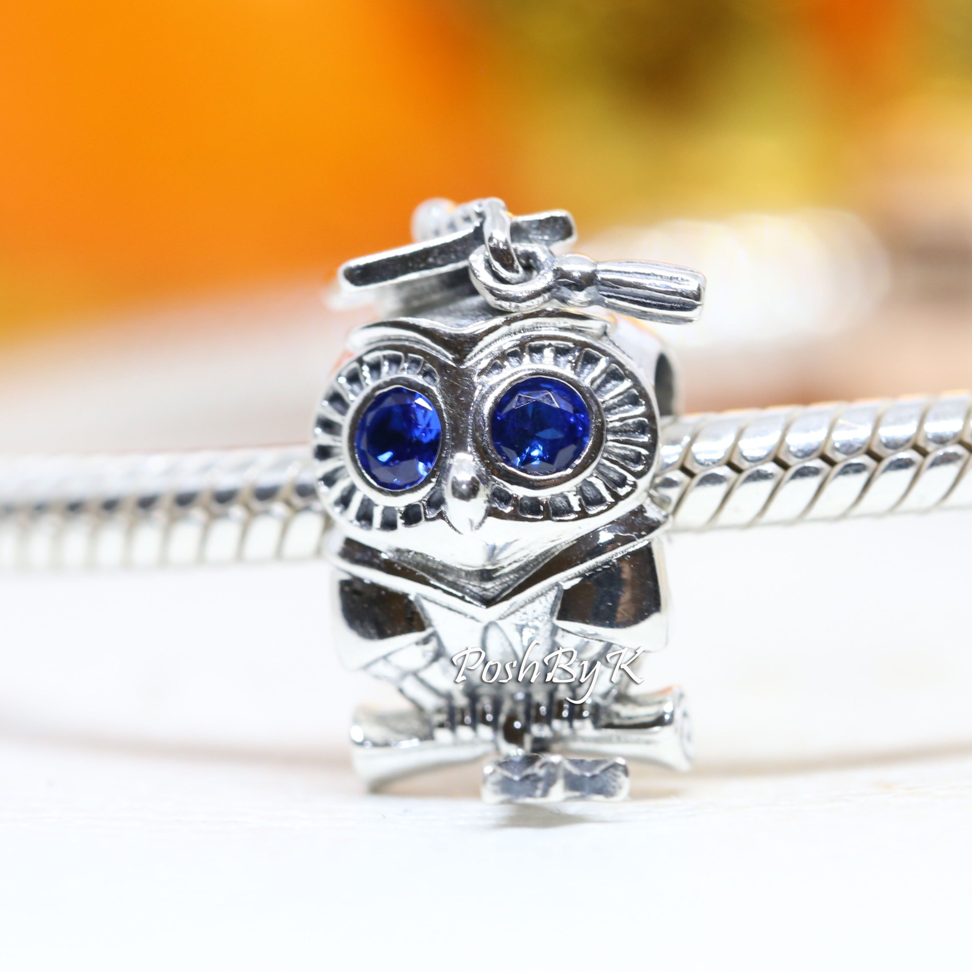 Wise Owl Graduation Charm 798907C01 – NUMARU
