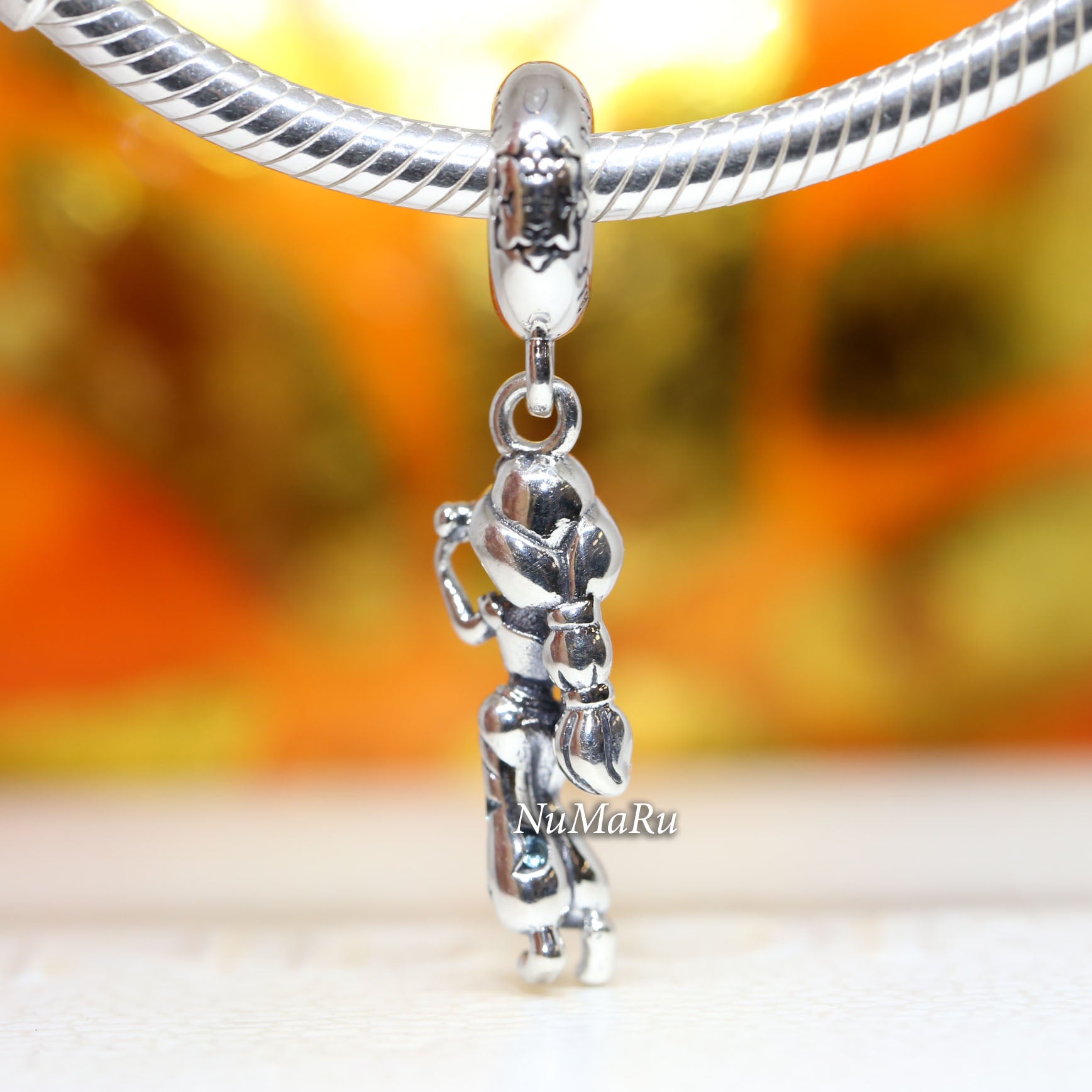 Aladdin Princess Jasmine Charm 792343C01 – NUMARU